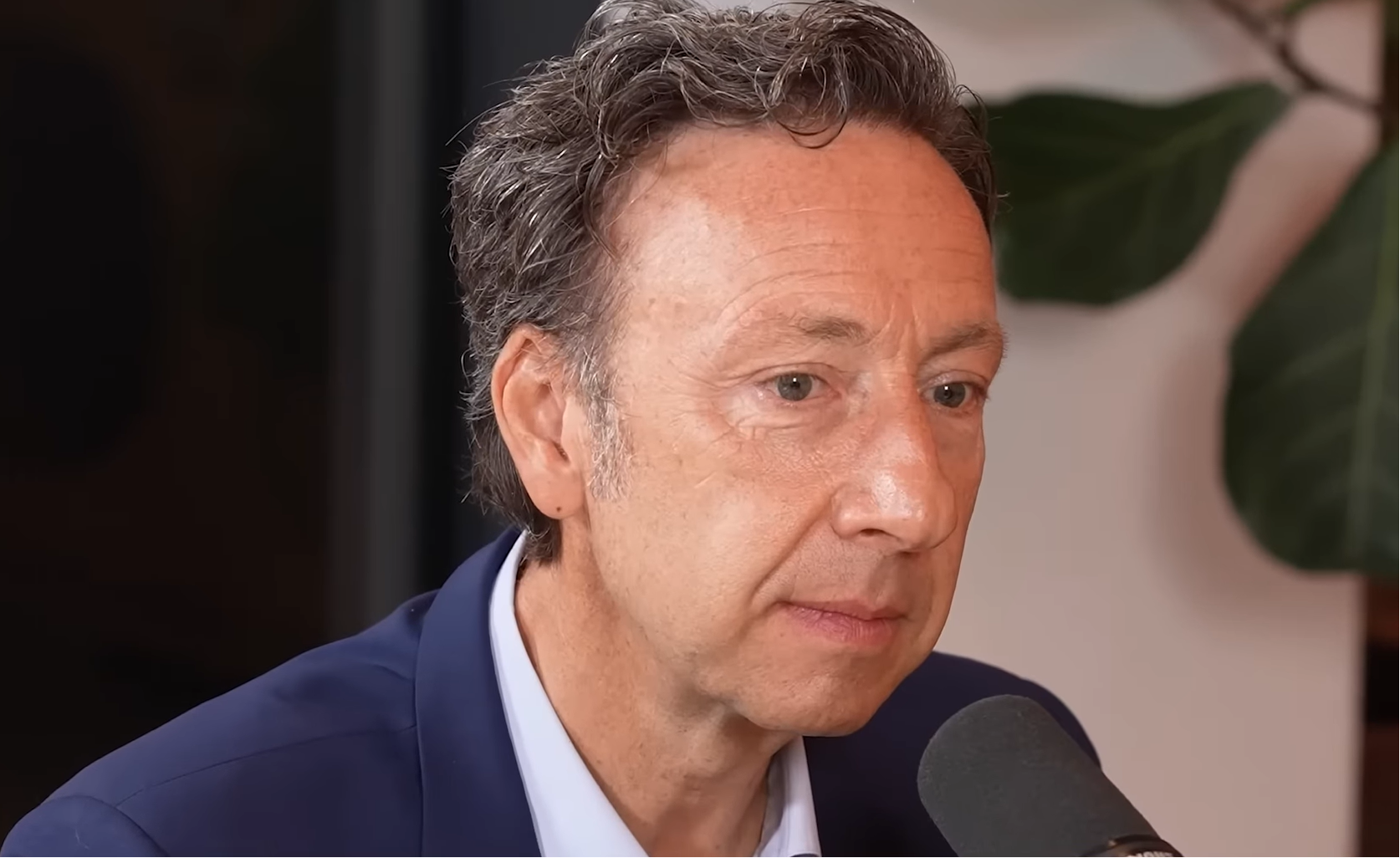Éoliennes : Stéphane Bern s'insurge - Boulevard Voltaire