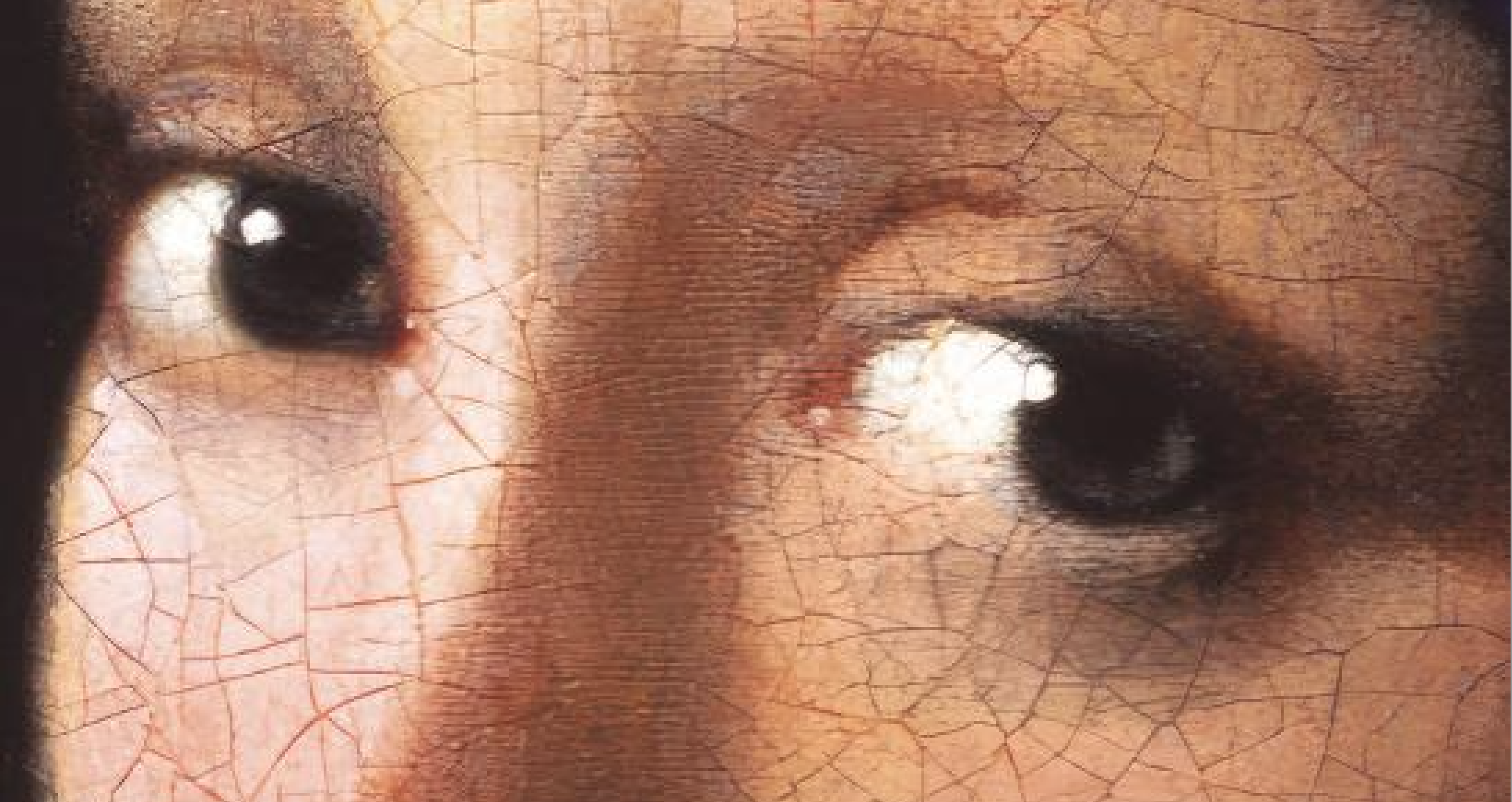 [LIVRES] Les Yeux de Mona… ou le regard de Greta ? - Boulevard Voltaire