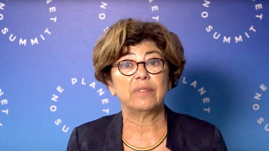 Monique Barbut, ministre de la Transition écologique : le nucléaire en alerte ! - Boulevard Voltaire