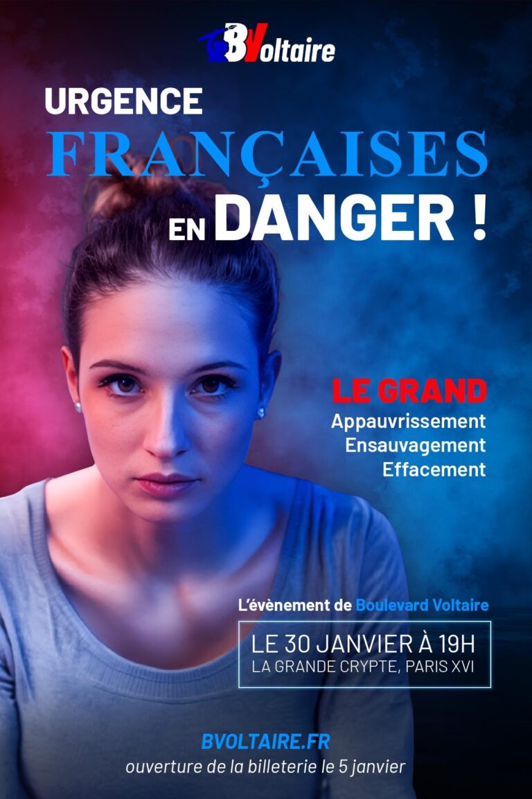 [CINÉMA] Gérald le Conquérant, le talent au service du politiquement ...