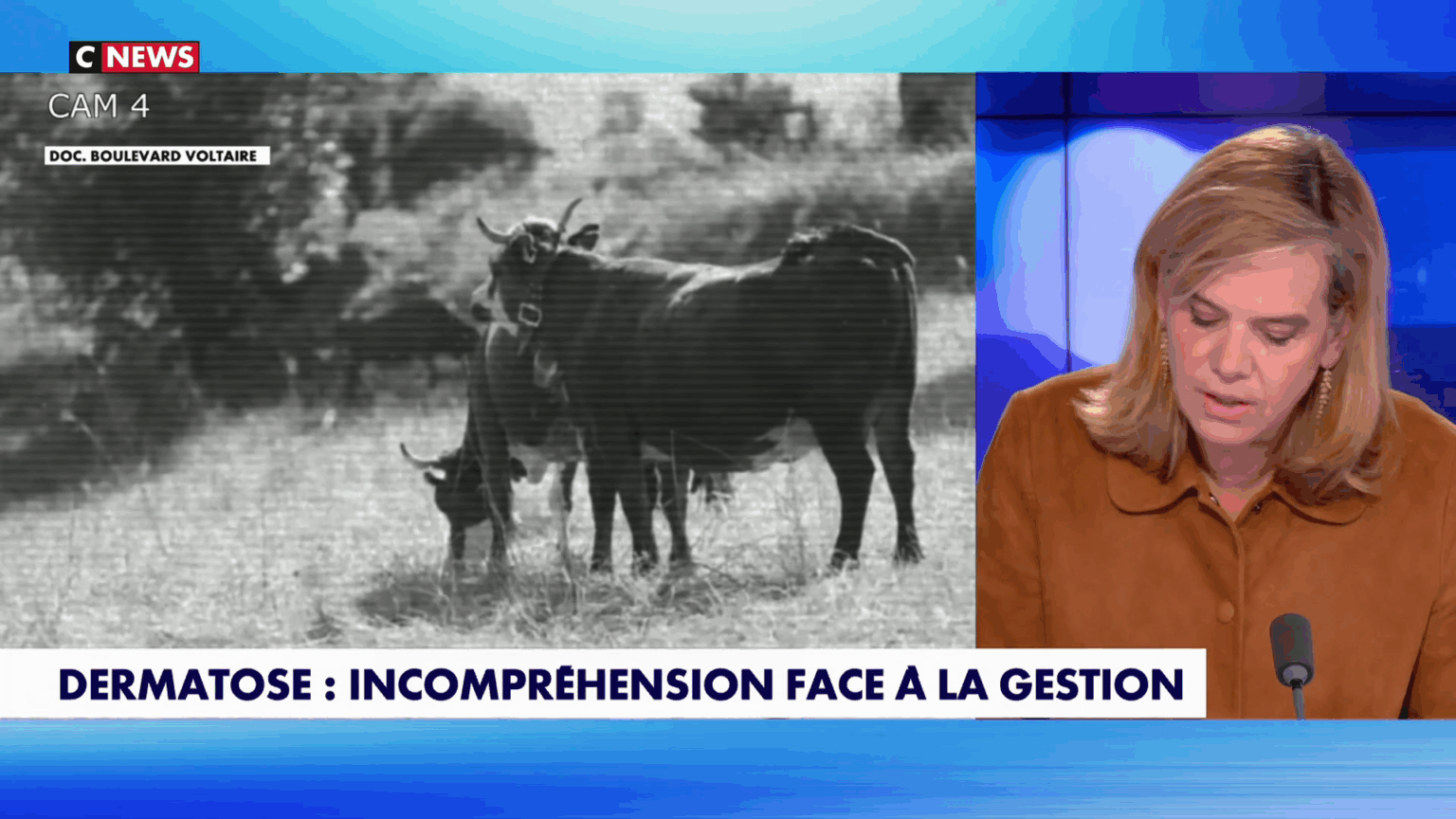 Face à Marion Maréchal, Marine Tondelier ou la grande approximation ...